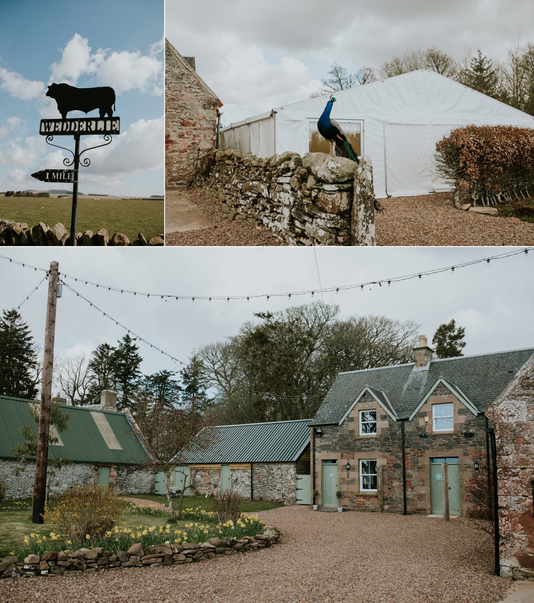 Wedderlie House Lockdown Walled Garden Elopement - Alice & Dom ...